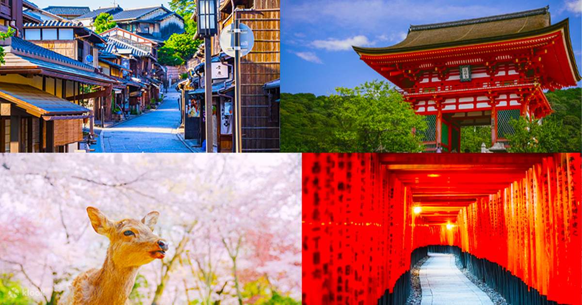 Kiyomizu-dera Temple, Fushimi Inari Shrine, and Nara Park Day Tour (from Osaka or Kyoto) - Klook ...